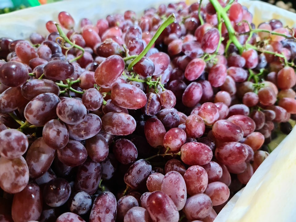 Fruit: Seedless Grapes (Red) – Fresh Deli PH