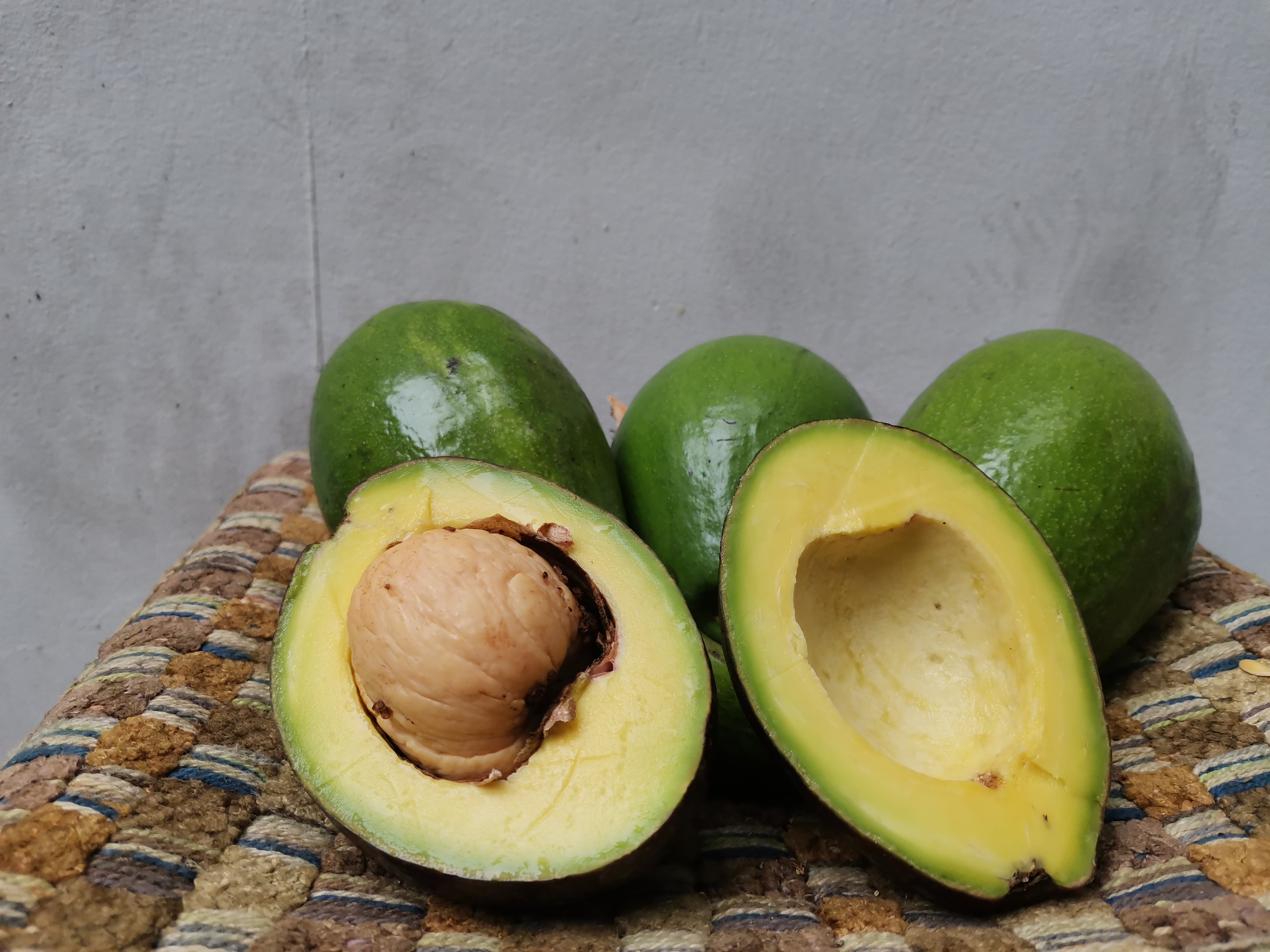 Fruit: Avocado – Fresh Deli PH