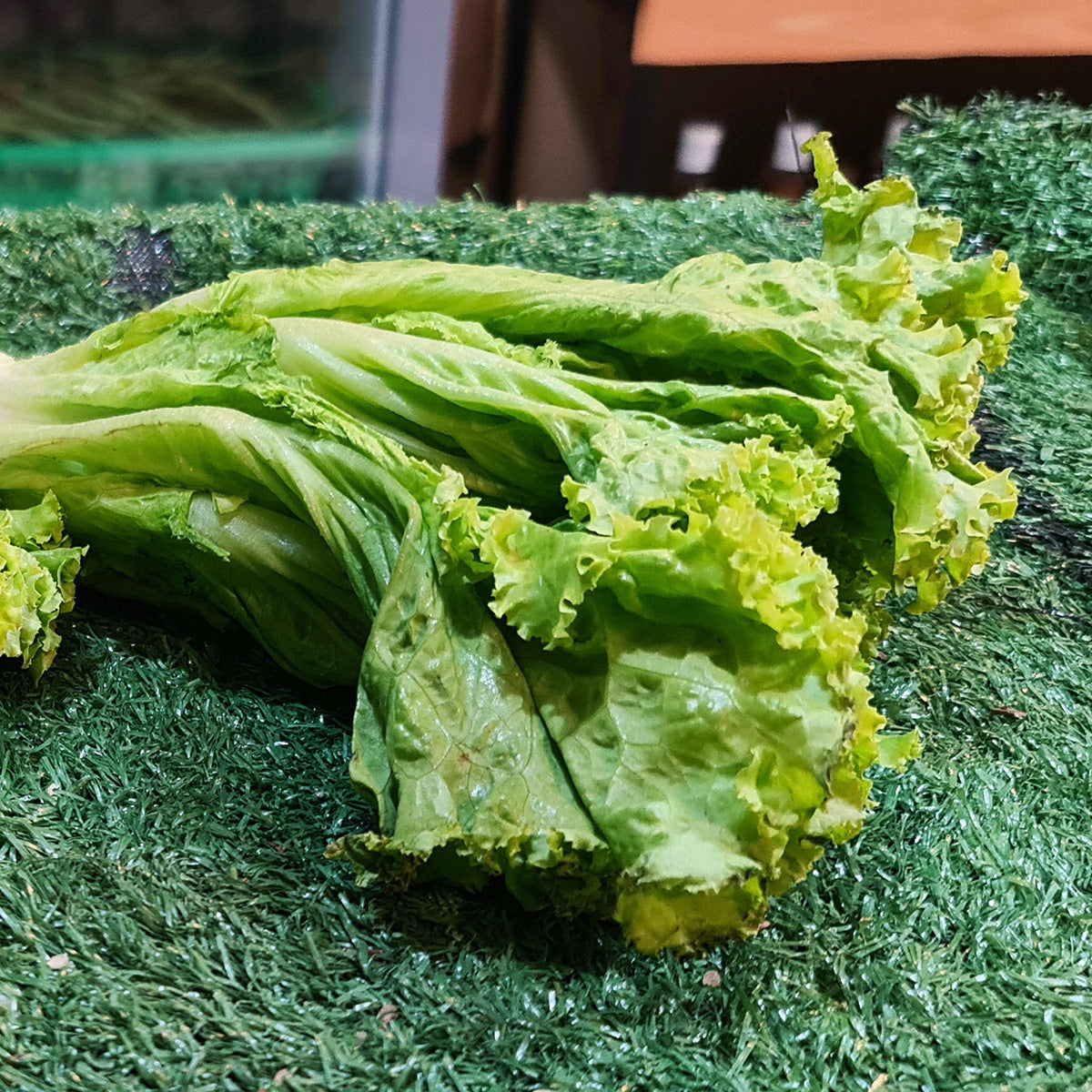 Vegetables: Lettuce (Green Ice) – Fresh Deli PH