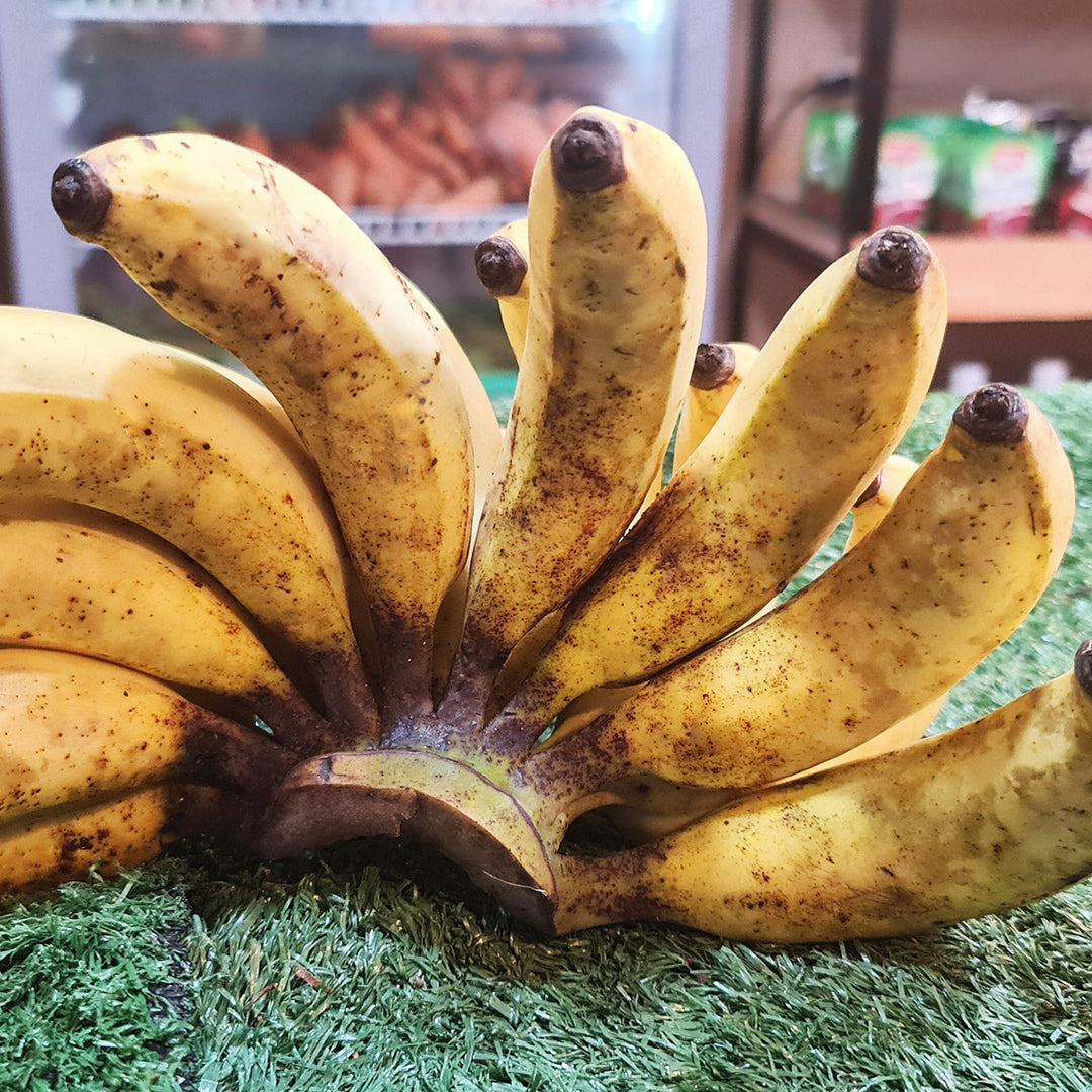 Fruit: Banana (Lakatan) – Fresh Deli PH